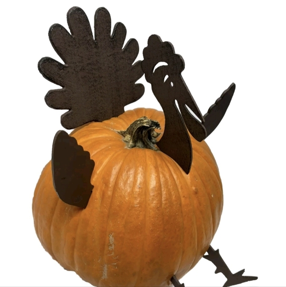 Holiday | Iron Turkey Pick Decorating Kit | Poshmark